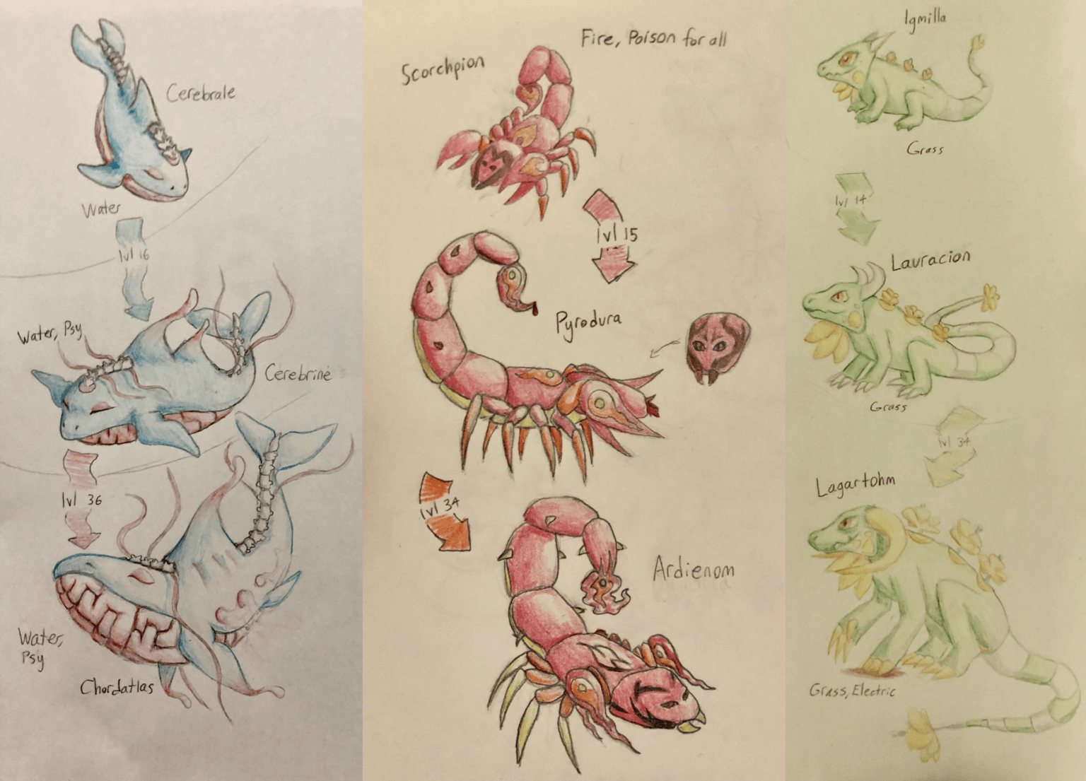 What Is Mexican Regional Pokemon? - Pokewolf