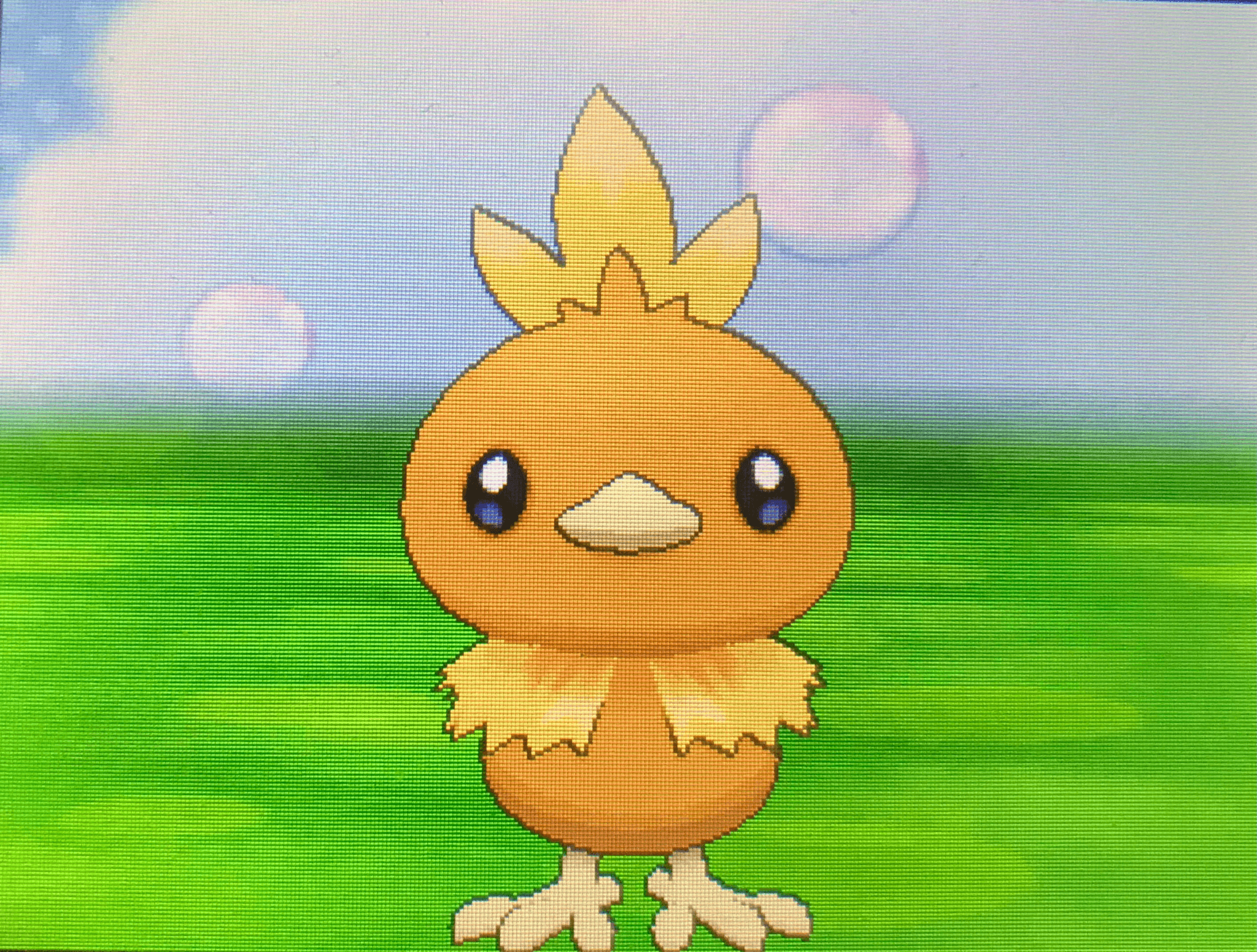 Can you beat Pokémon without evolving? - Pokewolf