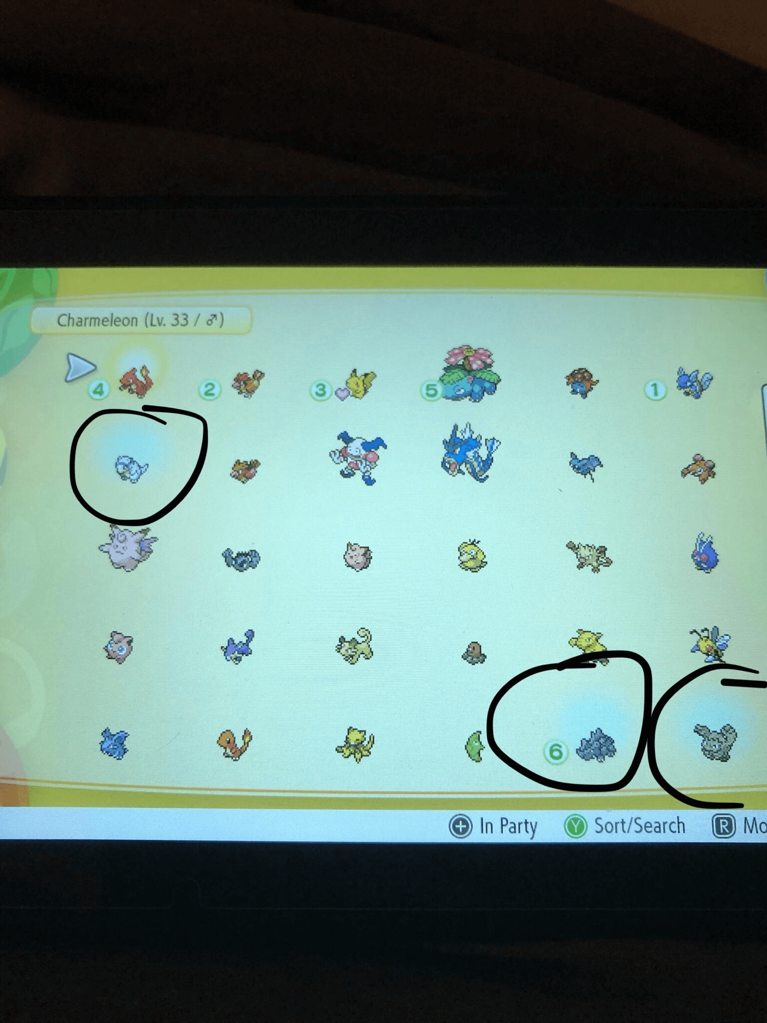 Why Do Some Pokémon Have A Blue Background? - Pokewolf