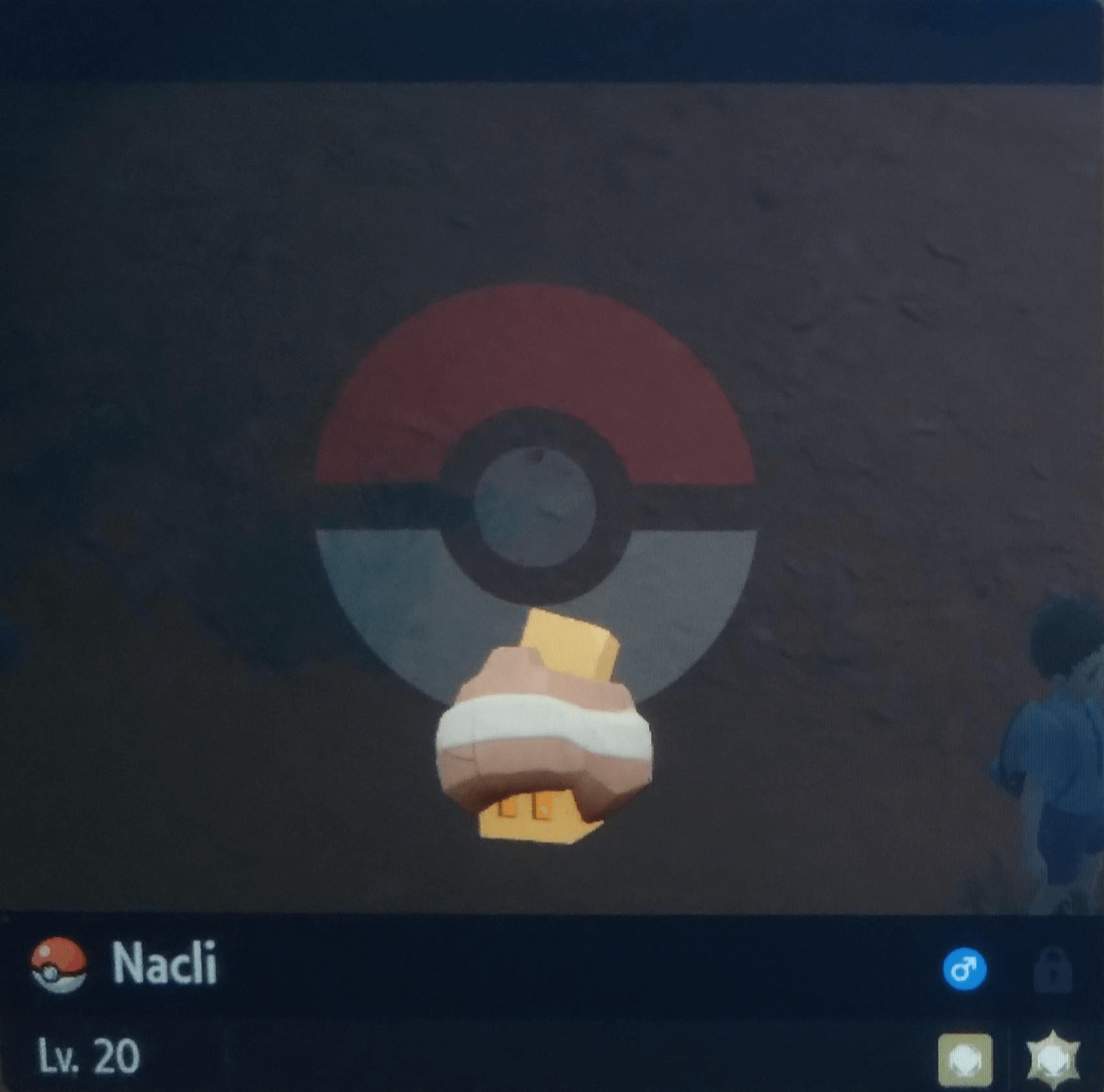 What is the salt mushroom Pokemon? - Pokewolf